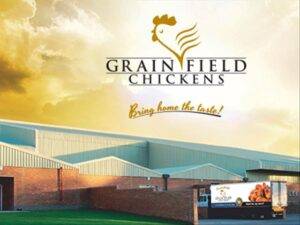 Grain Field Chickens: Electrician Maintenance (Manufacturing)